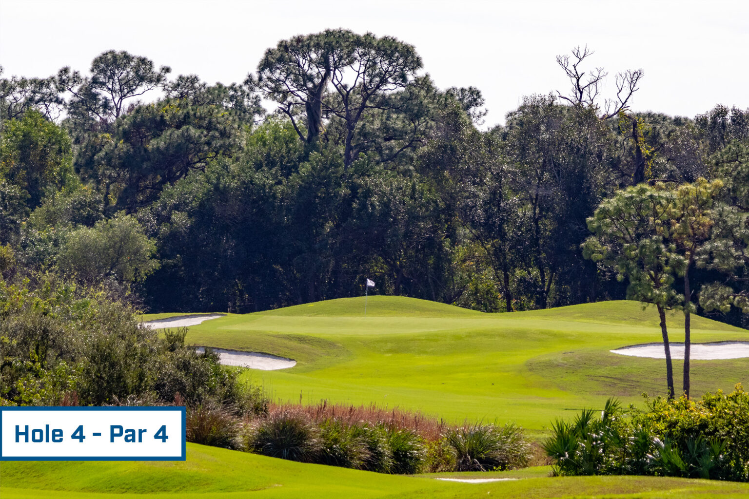 The Course – Cape Club of Palm City